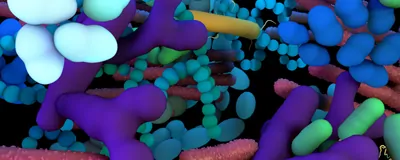 Diet Implicated in Autism-Microbiome Link | The Scientist