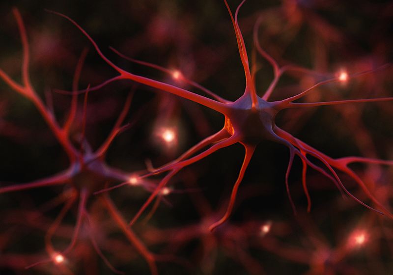 Using Digital Spatial Profiling for Transcriptomic Analysis of Neuronal Subpopulations | The ...