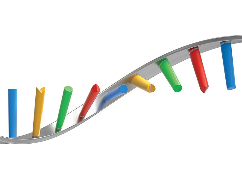 In Editing RNA, Researchers See Endless Possibilities | The Scientist