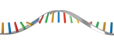 In Editing RNA, Researchers See Endless Possibilities | The Scientist