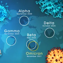 Omicron Is WHO’s Fifth Variant of Concern, Experts Urge Patience | The ...