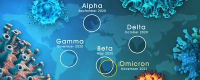 Omicron Is WHO’s Fifth Variant of Concern, Experts Urge Patience | The ...