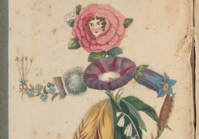 La Botaniste, 1810–1865 | The Scientist