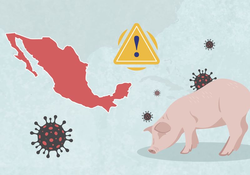 Timeline: Investigating the Origins of the 2009 Pandemic | The Scientist