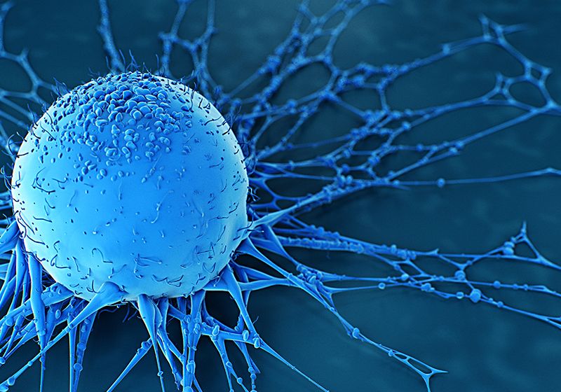 Technique Talk: Modeling the Complexity of Human Tumors in 3-D Cell ...