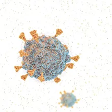 Epidemiology | The Scientist