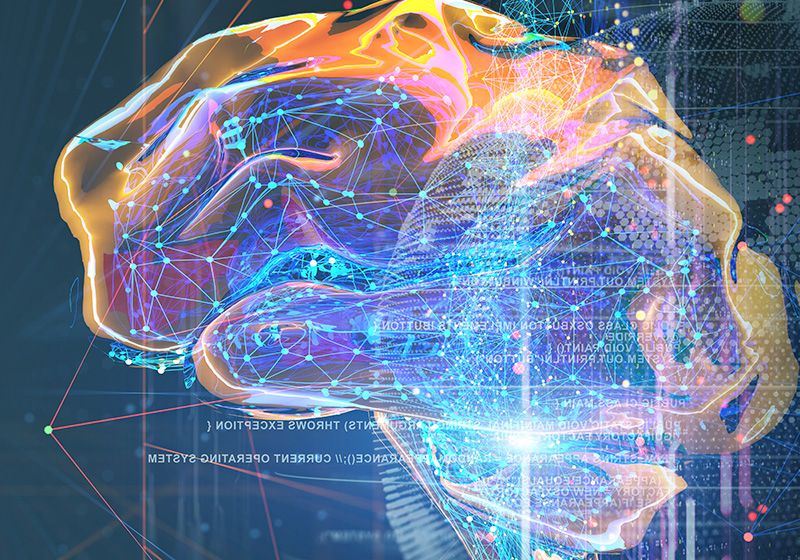 The Influence of Rare Cells in the Nervous System | The Scientist