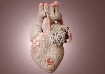 Macrophages Help Newborn Mice Heal Their Hearts | The Scientist