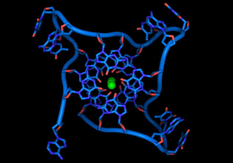 Strange DNA Structures Linked to Cancer | The Scientist