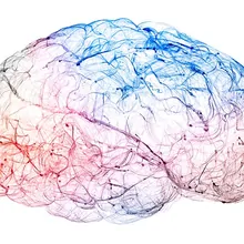 Neural Networks | The Scientist