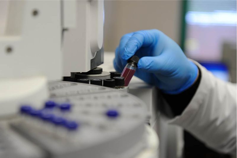 Studies Identify Risk Factors for Long COVID | The Scientist