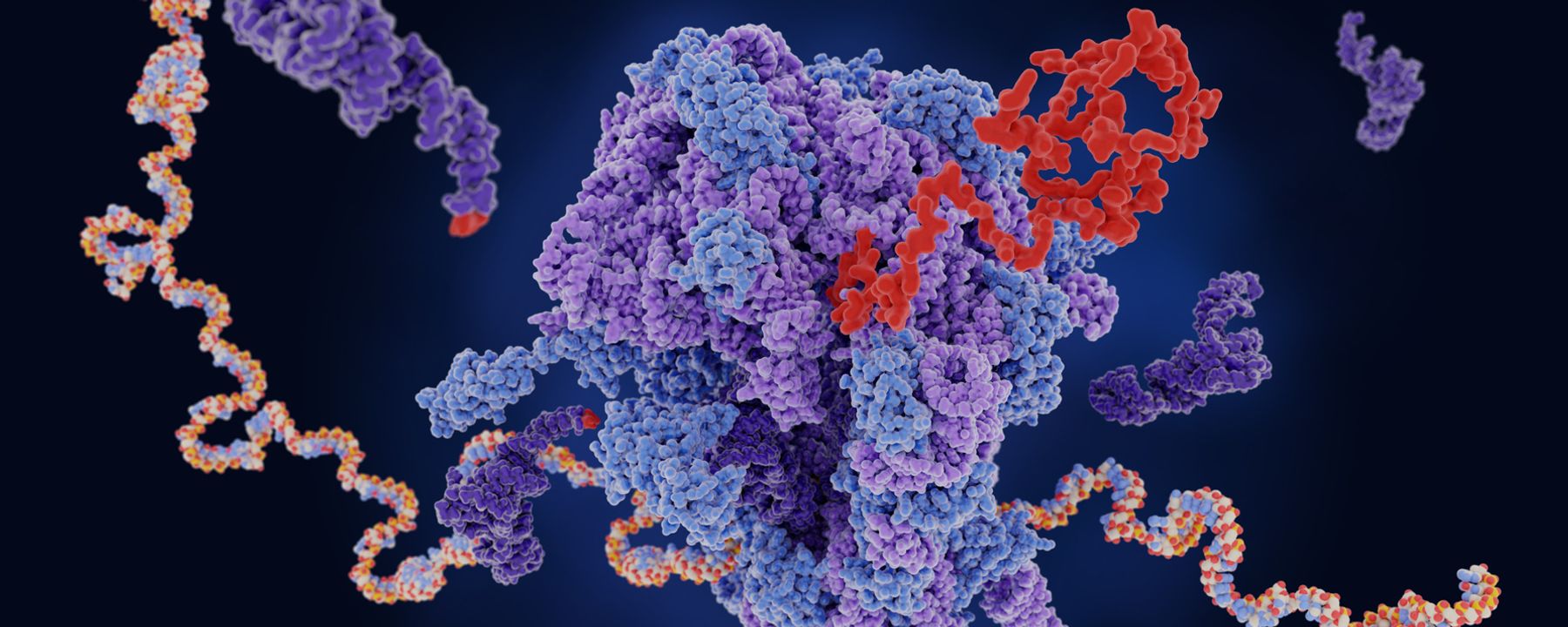 M RN A News, Articles | The Scientist Magazine®