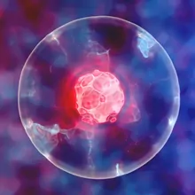 How Soft or Stiff Substrates Direct Stem Cell Differentiation | The ...