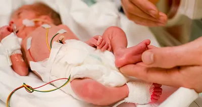 Maternal Smoking During Pregnancy Alters Placental Function and Fetal ...