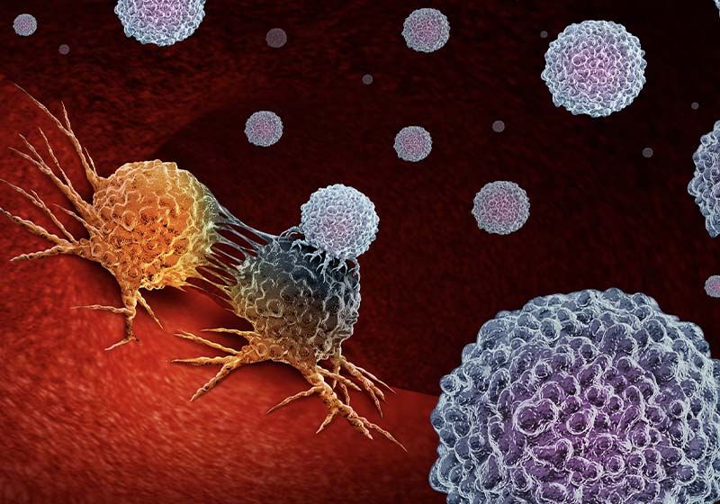 A Spotlight on T Cell Exhaustion | The Scientist