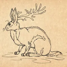 Book Excerpt from On the Trail of the Jackalope | The Scientist