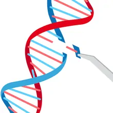 Synthego Profile | The Scientist