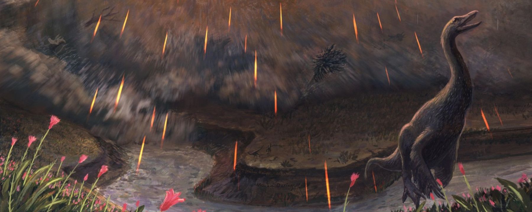 Extinction News, Articles | The Scientist Magazine®