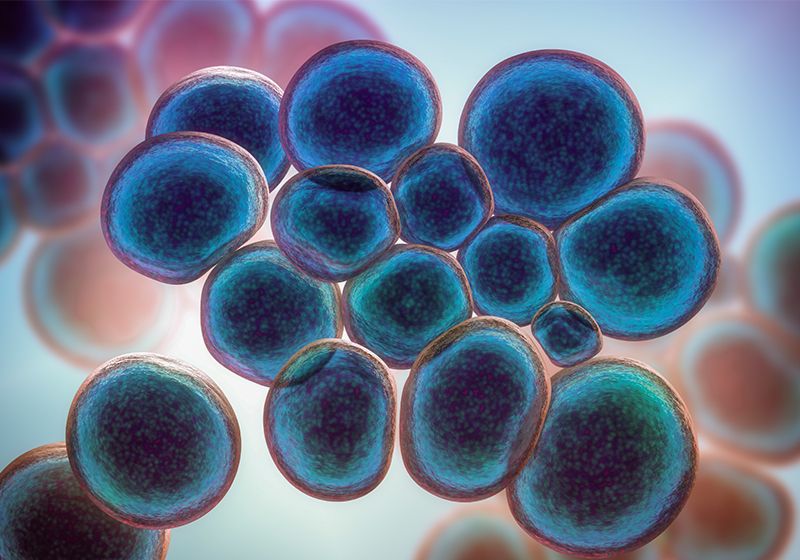 The Scientist Speaks - DIY Cells: Understanding Life with a Synthetic ...