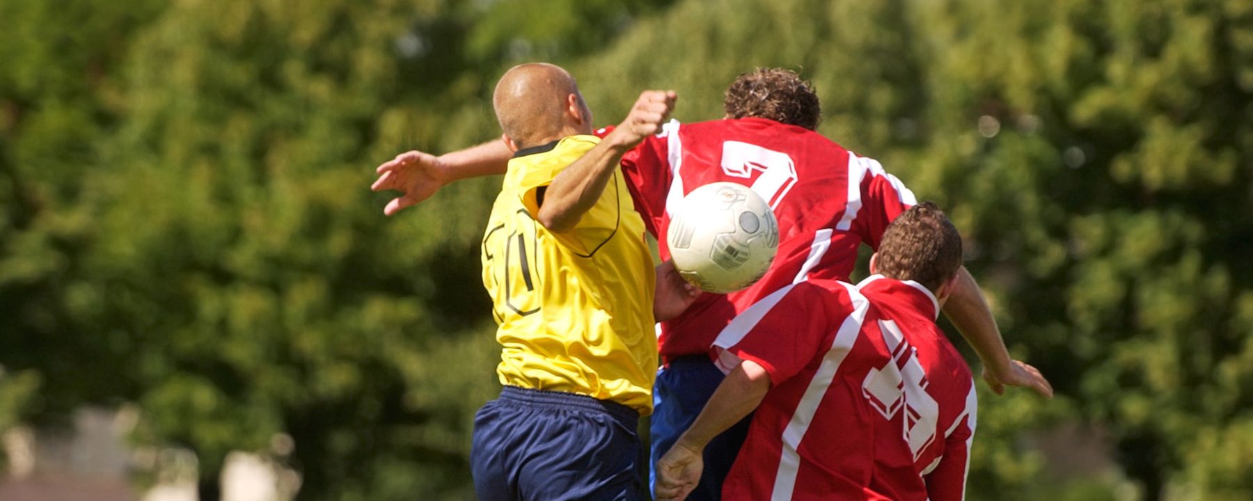 Concussions News, Articles | The Scientist Magazine®