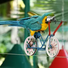 Birds | The Scientist