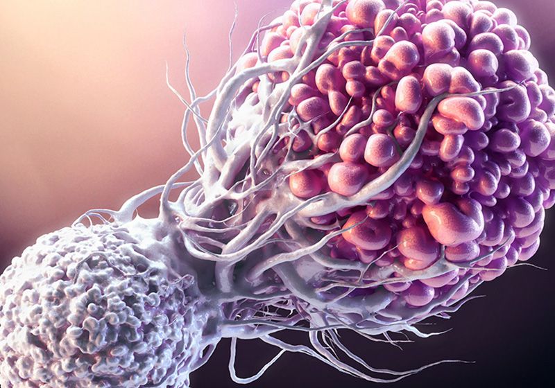 The Many Facets of T Cell Exhaustion | The Scientist