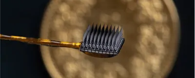 Brain Implant Allows Completely Paralyzed Patient to Communicate | The ...