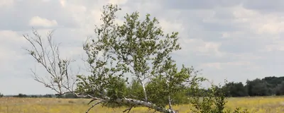 Amid the Terror of War, Efforts to Keep Science Alive in Ukraine | The ...