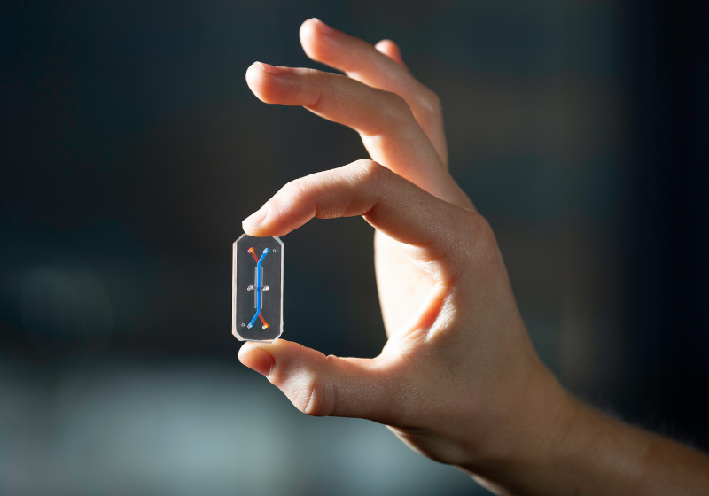 The Scientist Speaks - Preventing the Next Pandemic With Organ Chips ...