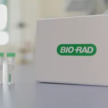 Bio-Rad Introduces Anti-Cemiplimab Antibodies | The Scientist