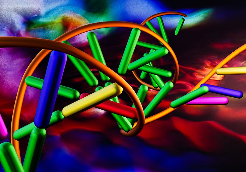 Cell-Free DNA as Disease Biomarkers | The Scientist