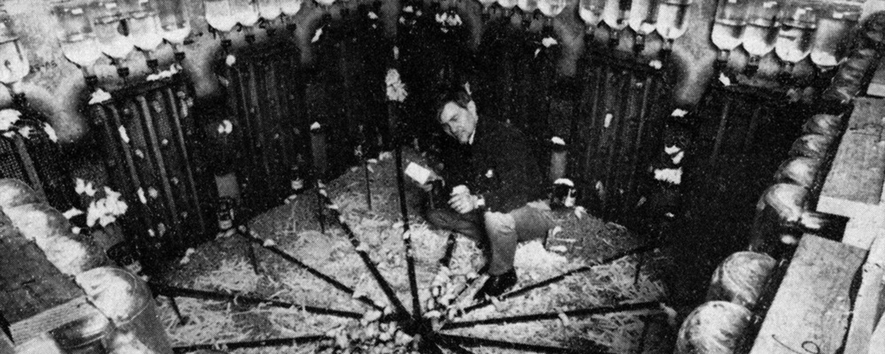 Science History News, Articles | The Scientist Magazine®