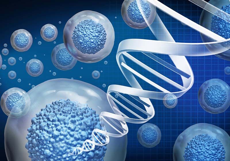 Technique Talk: Induced Pluripotent Stem Cells: Reprogramming and ...