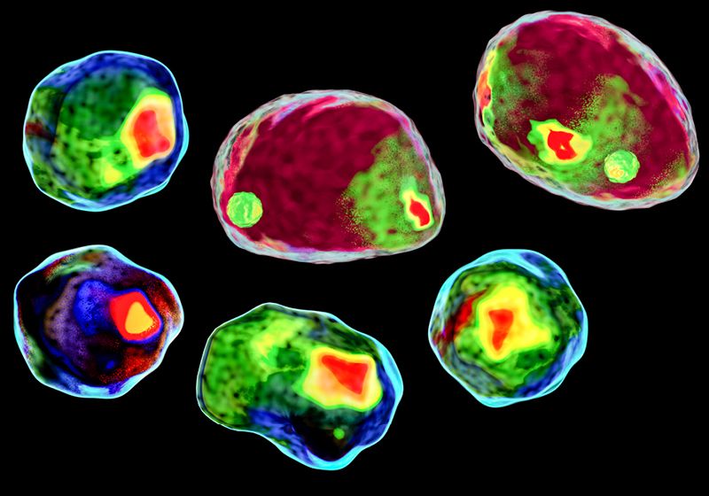 Flow Cytometry | The Scientist