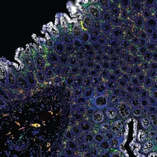 Canopy Biosciences Profile | The Scientist