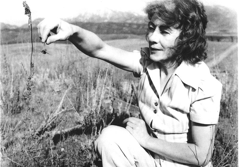 The Spider Lady, Circa 1939 | The Scientist