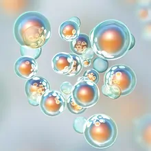 Sample Preparation | The Scientist