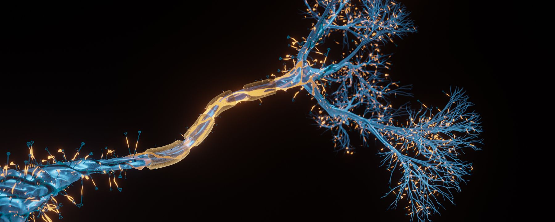 Autism Spectrum Disorder News, Articles | The Scientist Magazine®