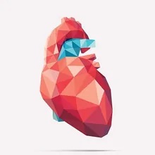 Heart | The Scientist