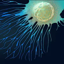 Breast Cancer | The Scientist