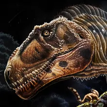 Anatomy | The Scientist