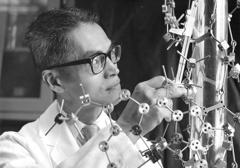 Handmade Hemoglobin, 1912-2012 | The Scientist