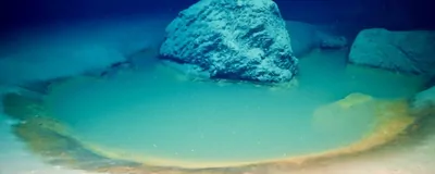 Science Snapshot: The Beach Beneath | The Scientist