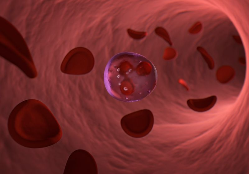 Missing Y Chromosome in Mouse Blood Causes Heart Dysfunction | The ...