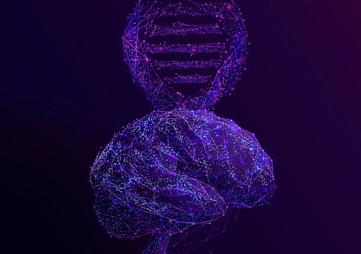 Inhibitory Neurons | The Scientist