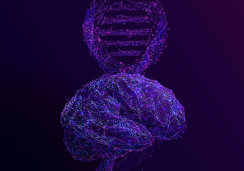 Genetic Underpinnings Of Brain Activity May Differ In Autism - TrendRadars