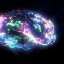 Brain Activity Map | The Scientist