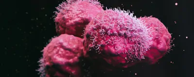 Underdog Enzyme Likely Responsible for Mutations in Most Cancers | The ...