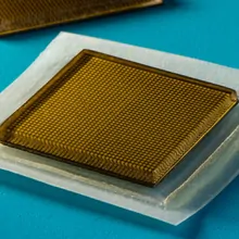 Biotechnology | The Scientist