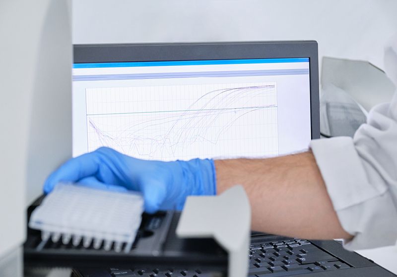 Selecting Probes That Rise to Any qPCR Challenge | The Scientist